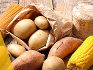 Self Cleaning Filters for Potato Starch Process
